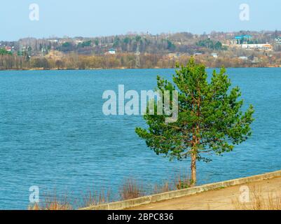 Right aligned tree on spring river background Stock Photo - Alamy