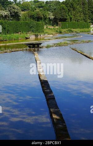 Watercress beds on the River Mimram at Whitwell, Hertfordshire Stock ...
