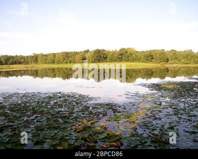 Pond, Slate Run Metropark, Ohio Stock Photo - Alamy