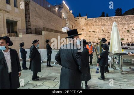 Jerusalem,Israel.An ultra-orthodox (Charedi) man checks a palm branch ...