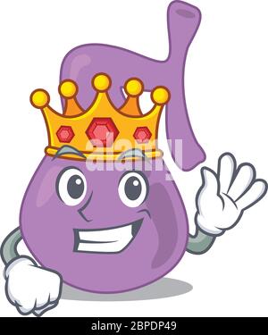 A Wise King of bladder mascot design style Stock Vector Image & Art - Alamy