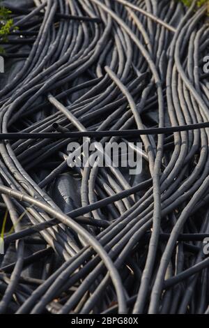 black irrigation pipes on field Stock Photo - Alamy