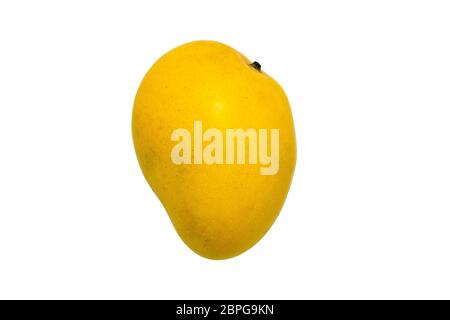 Isolated fruits. One whole mango fruit isolated on white background ...