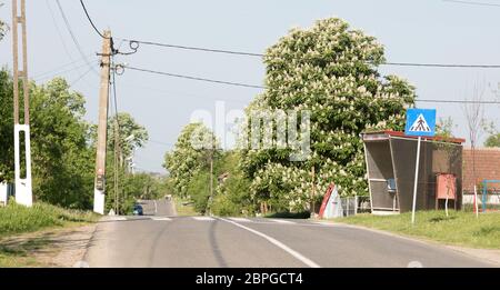 Zebra crossing in a village in Romania Stock Photo - Alamy