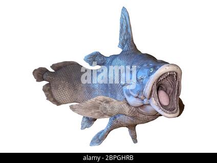 3D rendering of a Mawsonia, an extinct genus of prehistoric coelacanth ...