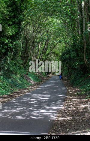 The Rodwell Trail in Weymouth in Dorset, England - a scenic walk along ...