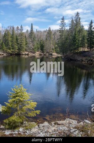Reflections of the forest in the calm river on an autumnal day. Duraton ...