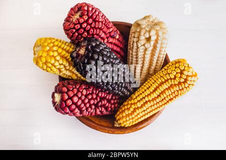 mexican Corn crop in different colors in mexico Stock Photo - Alamy