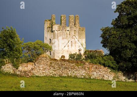 Kilcash Castle, County Tipperary, Ireland Stock Photo - Alamy
