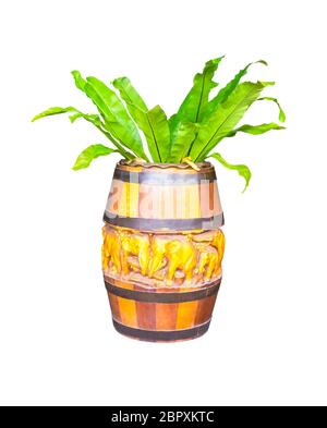 Oak barrels isolated on white background Stock Photo - Alamy