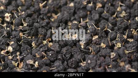 Dry Lycium ruthenicum Stock Photo - Alamy