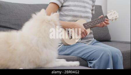 Pet owner play ukulele with her dog Stock Photo - Alamy