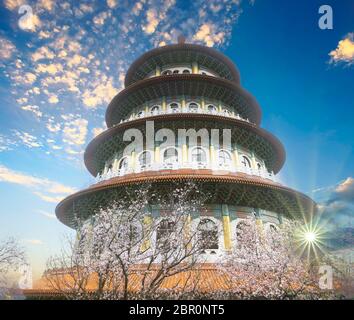 Gorgeous pink sakura Stock Photo - Alamy