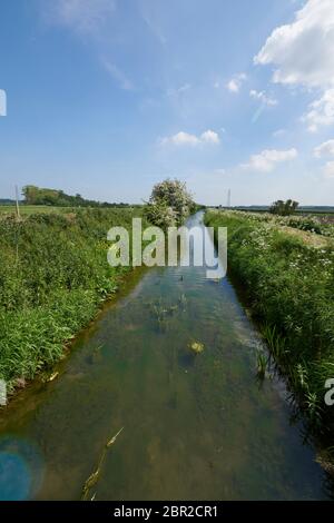 Drainage System in Farm Field Stock Photo - Alamy