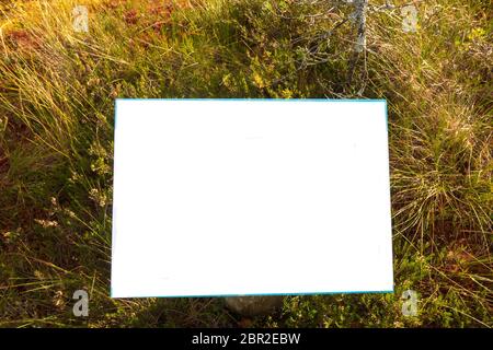 Vasenieku swamp in Latvia. billboard near walking path Stock Photo - Alamy