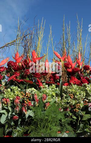 Floristic decoration with tropical flowers against a blue sky Stock ...