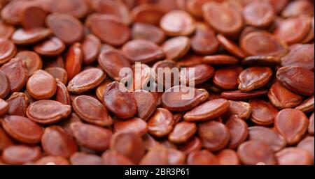 Chinese new year red melon seed Stock Photo - Alamy