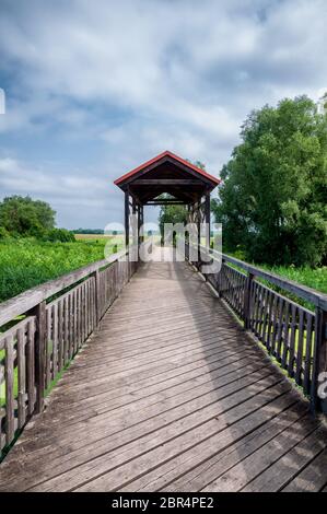 The Bridge at Andau was the escape route for about 70,000 Hungarian ...