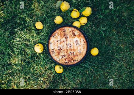 Piece of homemade apple pie with cinnamon and cup of tea on white ...