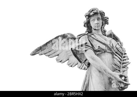 Statue of an angel with olive branch isolated on white background Stock ...