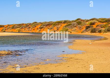 River bend at Little Lagoon, Denham, WA, Australia, Oceania Stock Photo ...