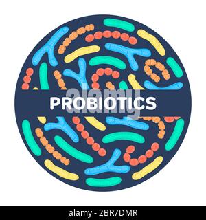 Vector probiotics in circular shape. Bifidobacterium, lactobacillus ...