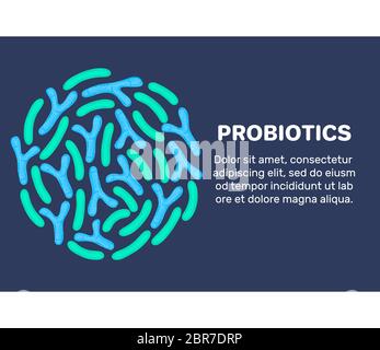 Vector background with probiotics in circular shape. Bifidobacterium ...