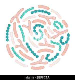 Vector probiotics in circular shape. Bifidobacterium, lactobacillus ...