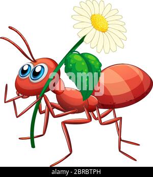 Daisy flower image. Insect ant detail. Blue background contrast. Nature ...