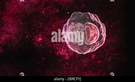 Science Photo of bacteria Proteus mirabilis is a Gram-negative ...