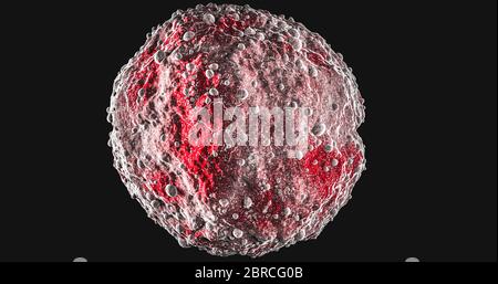 Science Photo of bacteria A coccus is any bacterium or archaeon that ...