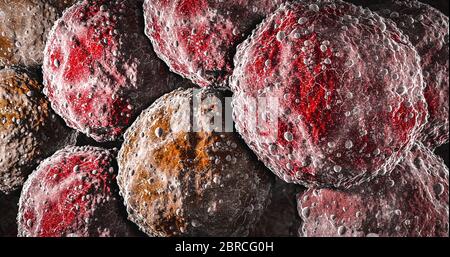 Science Photo of bacteria A coccus is any bacterium or archaeon that ...