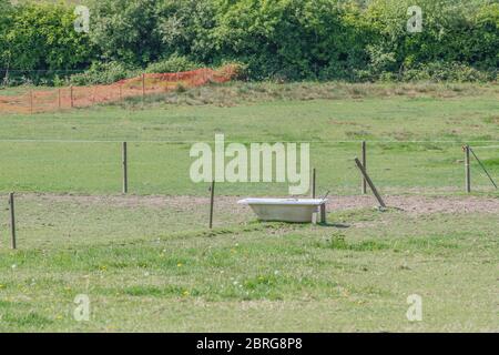 Plastic bath tub being used as water trough in horse paddock. Metaphor ...