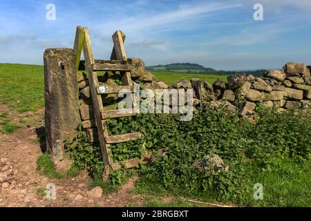 Ladder stile on the Witton Weavers Way Stock Photo - Alamy