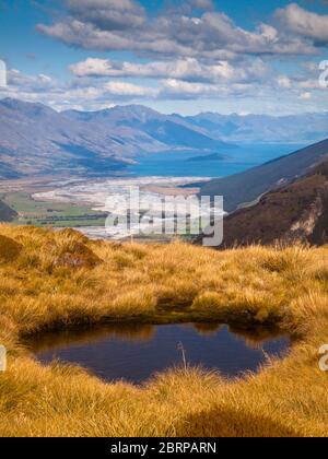 On the Route Burn, Lake Wakatipu.. Burton Brothers (New Zealander ...