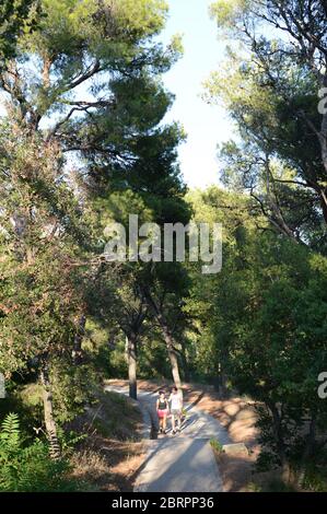 Climbing up the Marjan hill in Split, Croatia Stock Photo - Alamy