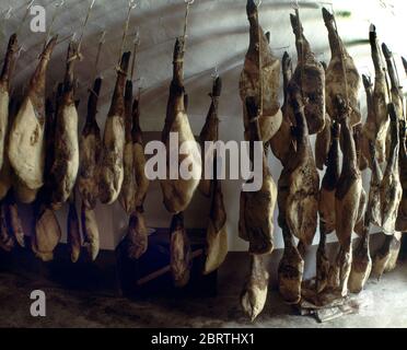 Calera de León, Badajoz, Spain - March 15, 2025: The interior of the ...