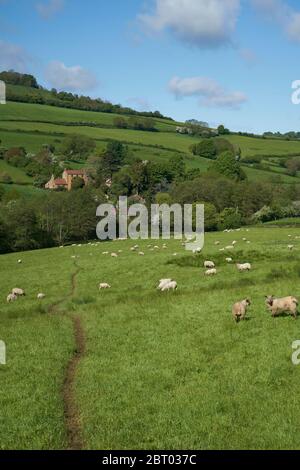 Lush green fields of the Woolley Valley, an Area of Outstanding Natural ...