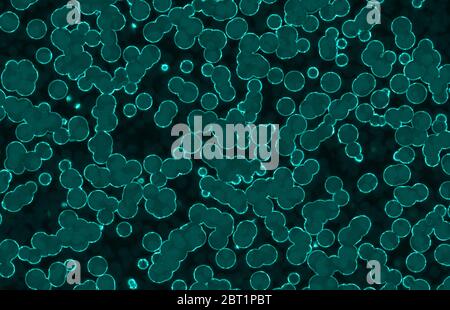 colored abstract bacteria cells Stock Photo - Alamy