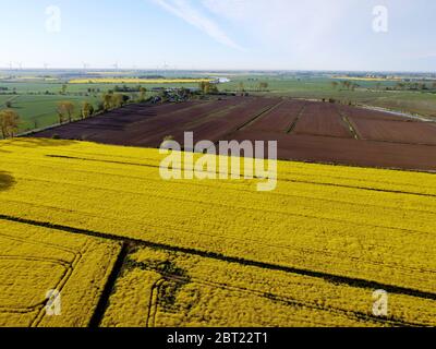 Farmland in Zulawy Wislane in spring season, Poland Stock Photo - Alamy