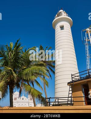A low-angle shot of coconut trees under the sky Stock Photo - Alamy