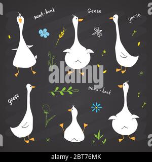 Goose Doodles Set. Cute Geese sketch. Hand drawn Cartoon Vector ...