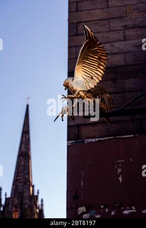 Golden Hawk sculpture at Gladstones Land Lawnmarket Edinburgh Stock ...