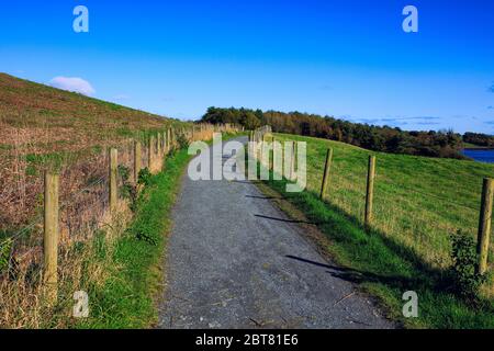 Sunny autumn delamont country park,Northern Ireland Stock Photo - Alamy