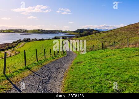Sunny autumn delamont country park,Northern Ireland Stock Photo - Alamy