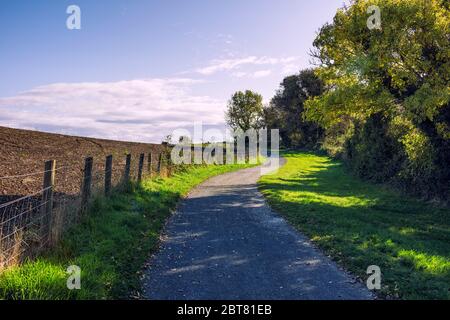 Sunny autumn delamont country park,Northern Ireland Stock Photo - Alamy
