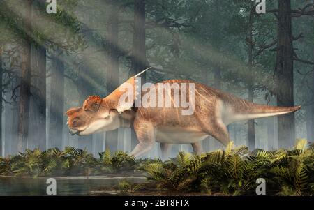 Achelousaurus was a Cretaceous era dinosaur. A cousin of the ...