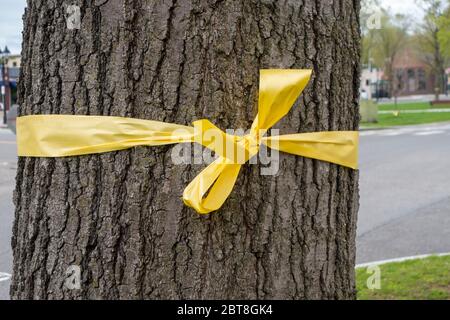 Yellow Ribbon Tied around Tree In Front Yard Of Home Stock Photo - Alamy