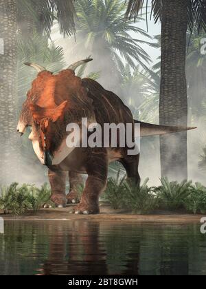 Achelousaurus was a Cretaceous era dinosaur. A cousin of the ...
