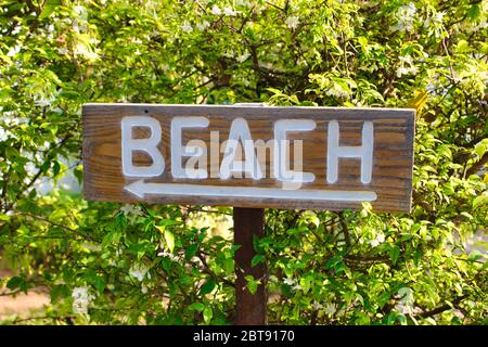 This unique photo shows a wooden sign in nature. Toilet is written on ...